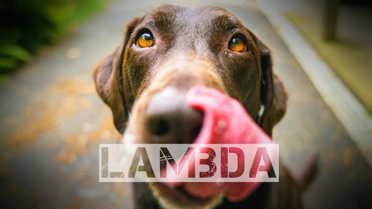Lambda em Python Lambda em Python